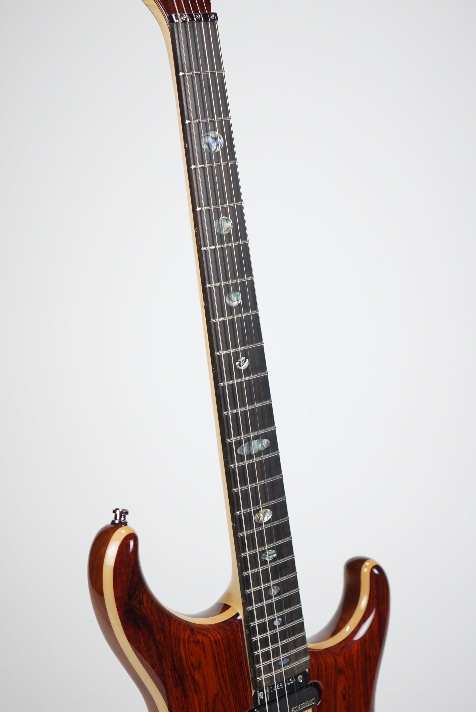 2022 Alembic Spectrum Guitar - Cocobolo — Northern Lights Music